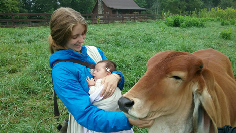 ISKCON Prabhupada Village Cow Protection Go-Seva